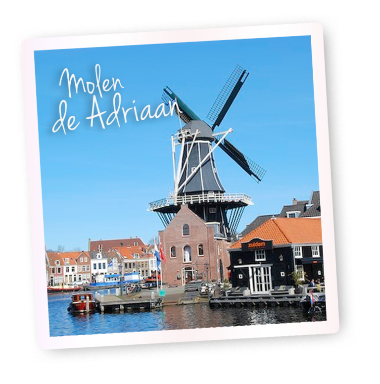 Discover Haarlem